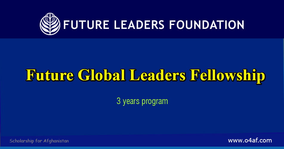 Future Global Leaders Fellowship 2019 | O4af.com | Opportunities for ...
