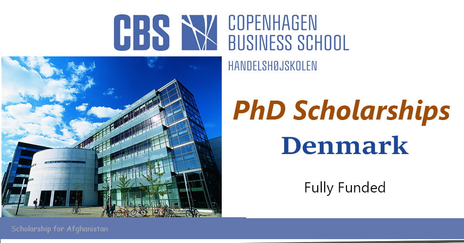 Copenhagen Business School Scholarship in the Department of Strategy ...