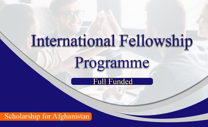 International Fellowships in Urban Studies by Urban Studies Foundation ...