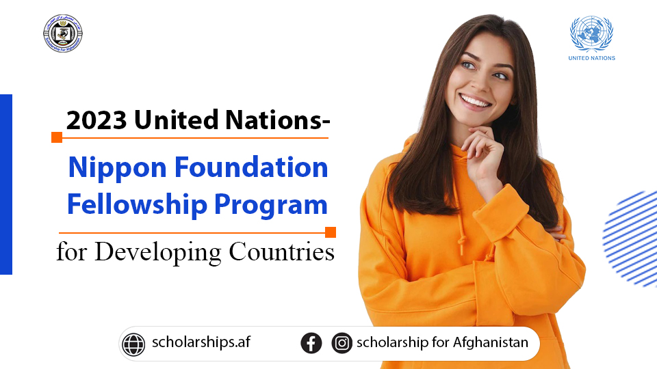 The United Nations – Nippon Foundation Fellowship 2023 | O4af.com ...